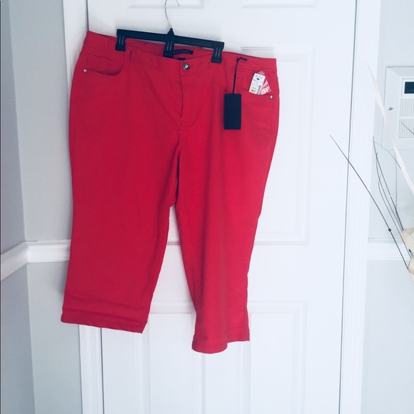 Baccini | Pants & Jumpsuits | Nwtbaccini Crops Capri Pants24w | Poshmark